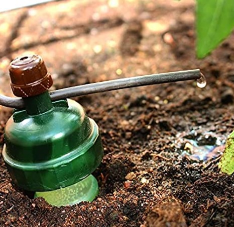 Revolutionize Your Green Thumbs: The Blumat Adventure in Plant Care ...
