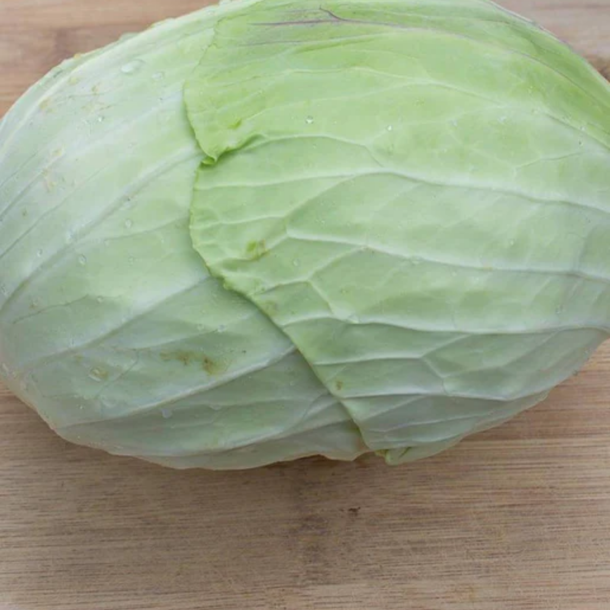 Taiwan Cabbage F1 Hybrid - Heat Tolerant & High Yield | West Coast ...