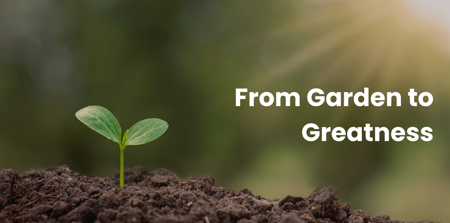 Plantwell: Canada's Premier Hydroponic & Garden Supplies – Plantwell