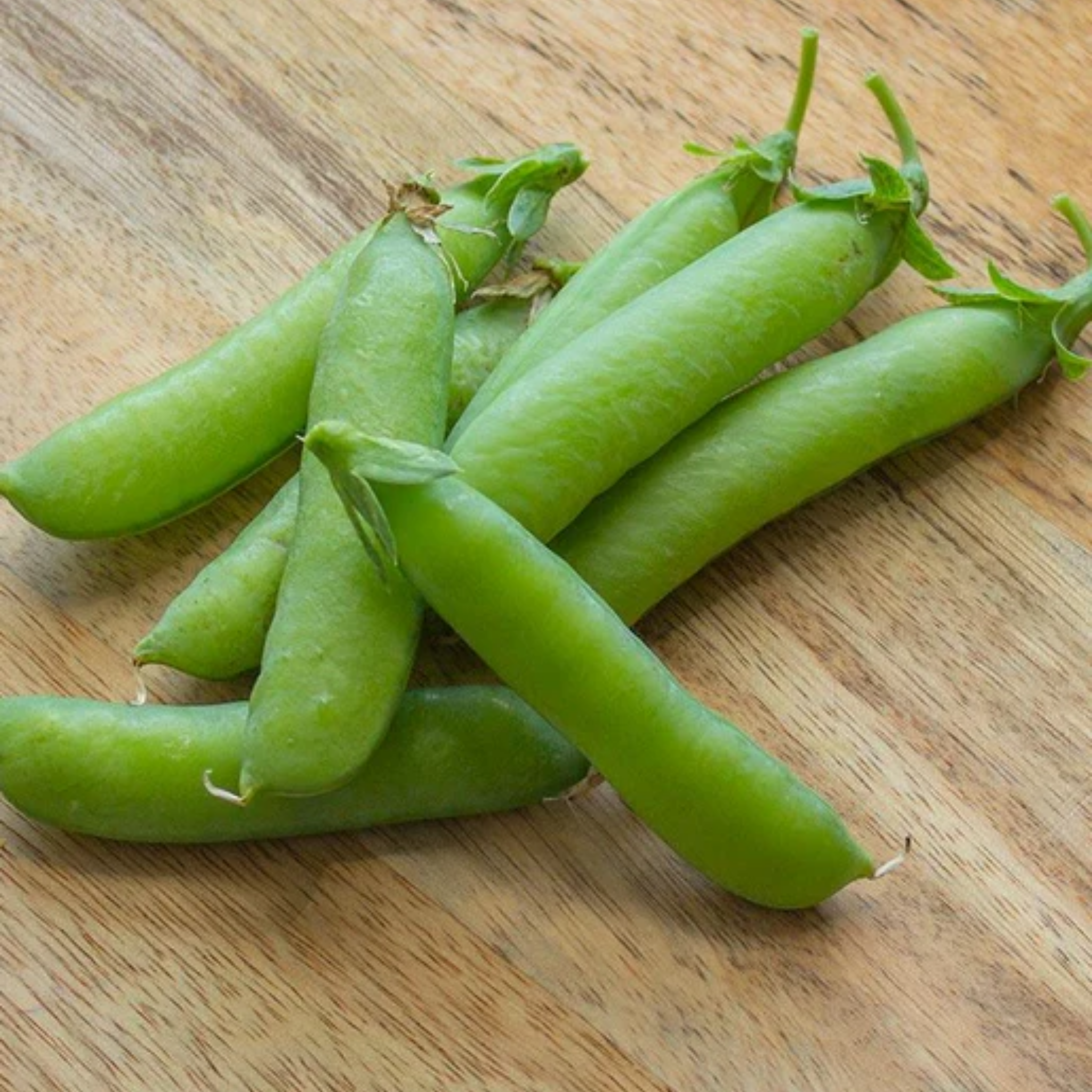 Alaska Peas | Heirloom, Early-Maturing & High Yield | West Coast Seeds ...