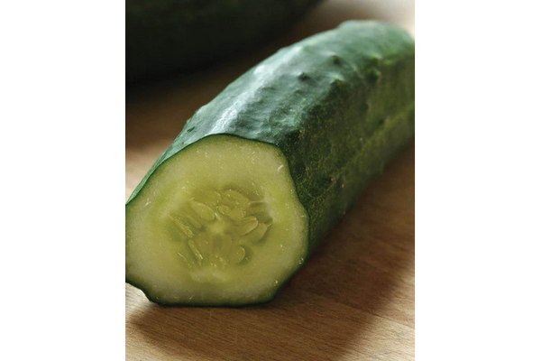 West Coast Seeds - Patio Snacker Cucumbers - Compact, High-Yield Varie ...