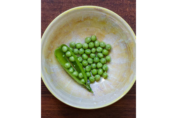 Alaska Peas | Heirloom, Early-Maturing & High Yield | West Coast Seeds ...