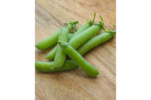 Alaska Peas | Heirloom, Early-Maturing & High Yield | West Coast Seeds ...