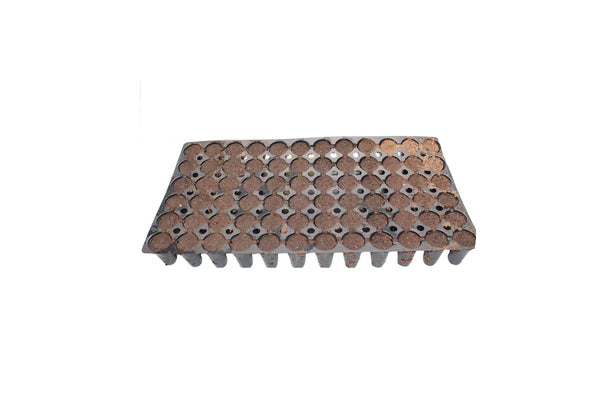 Preforma 72 Cell Tray for Root Growth & Drainage | Jiffy Propagation ...