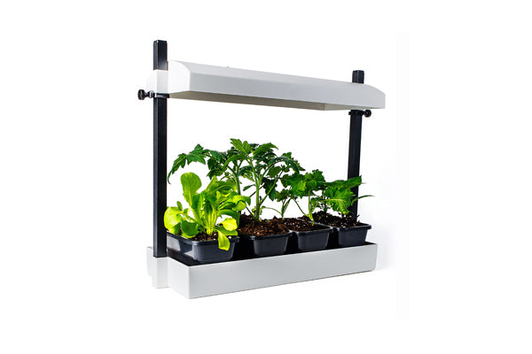 SunBlaster Grow System – Plantwell